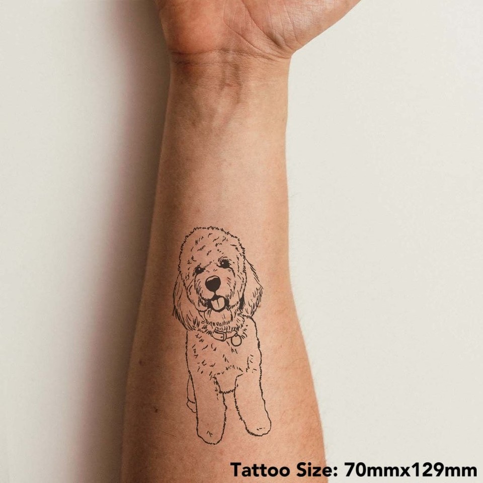 'Cockapoo' Temporary Tattoos / Transfers (TO00038882) | eBay