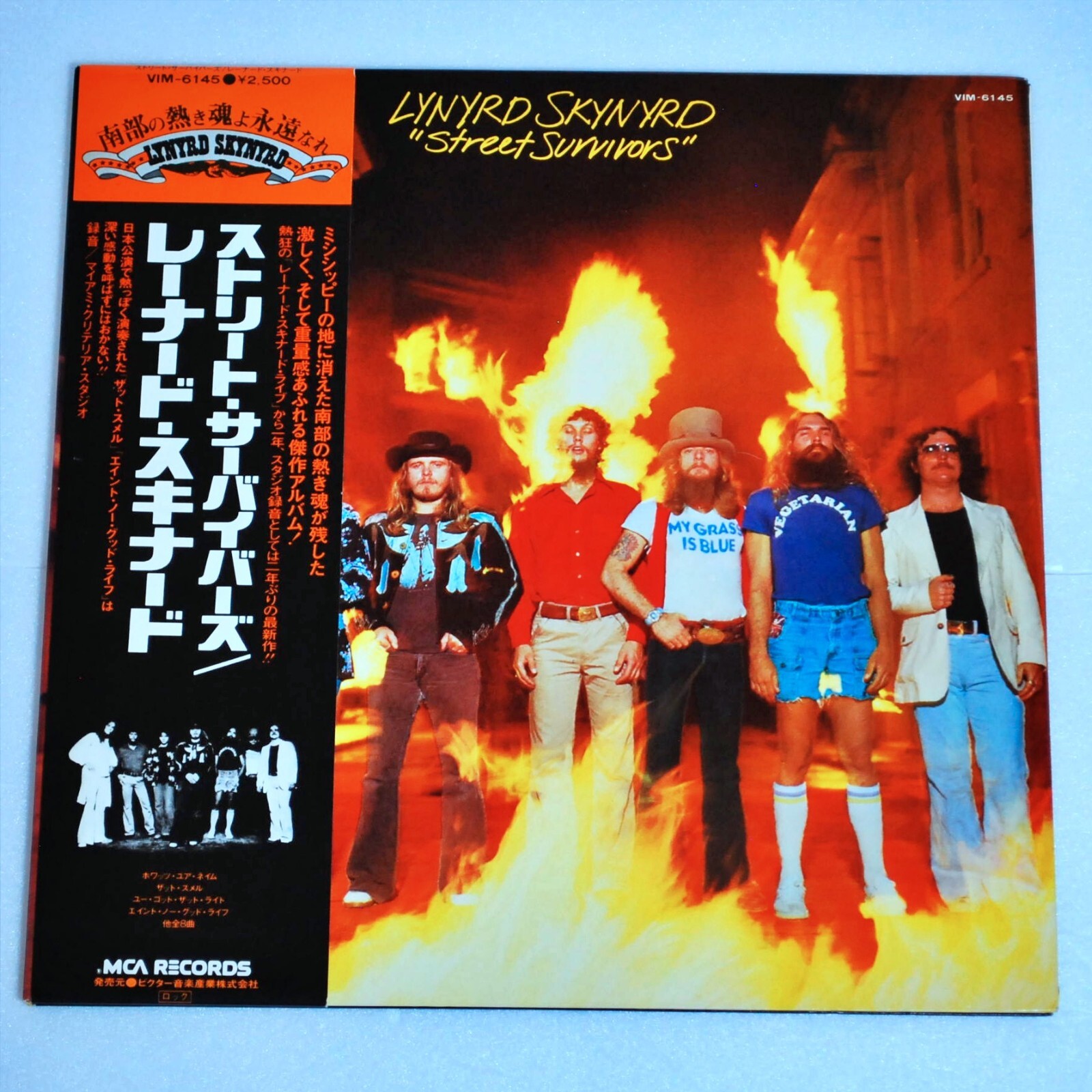 Lynyrd Skynyrd Street Survivors Vinyl Record Obi Hard Rock MCA VIM-6145 ...