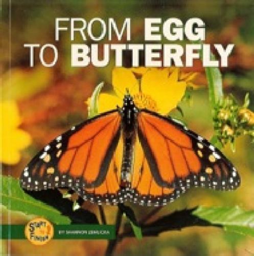 From Egg to Butterfly (Start to Finish) by Shannon Zemlicka ...