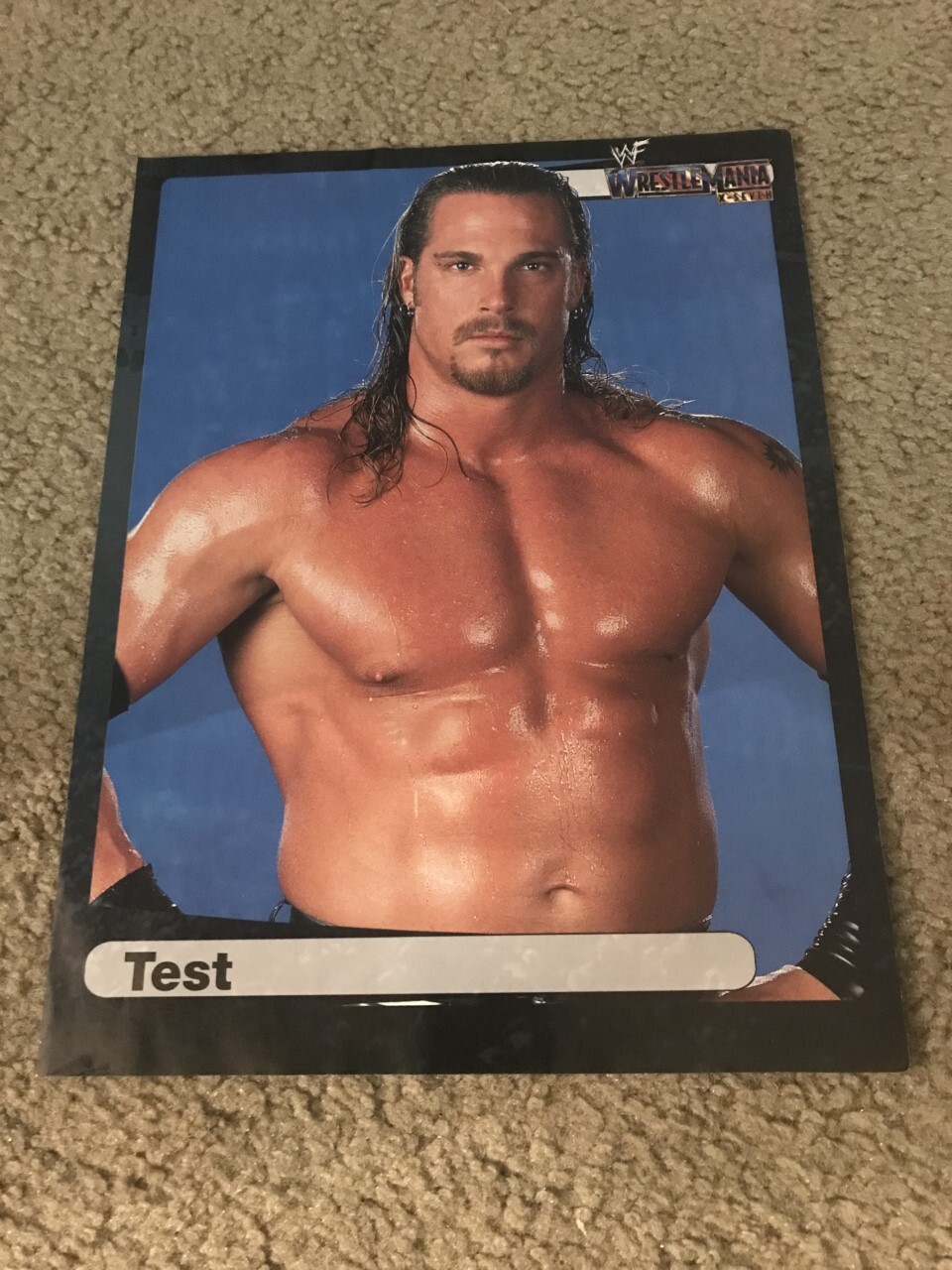 Vintage TEST WWF 2001 WRESTLEMANIA X7 17 Pinup Photo WWE ANDREW MARTIN ...