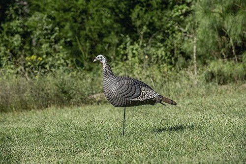 Hunters Specialties HS Strut Lite Hen Turkey Foldable Hollow Body ...