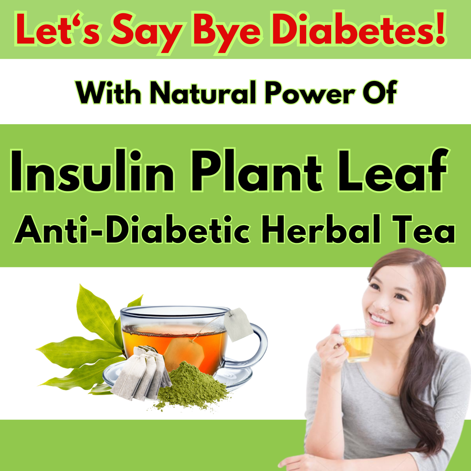 Insulin Plant Leaf Thebu Costus Igneus Tea Bags Diabetic Herbal Organic ...