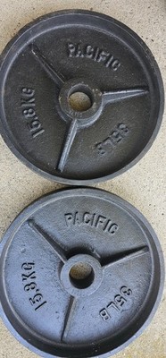 2 Olympic style weights 35 pounds each | eBay