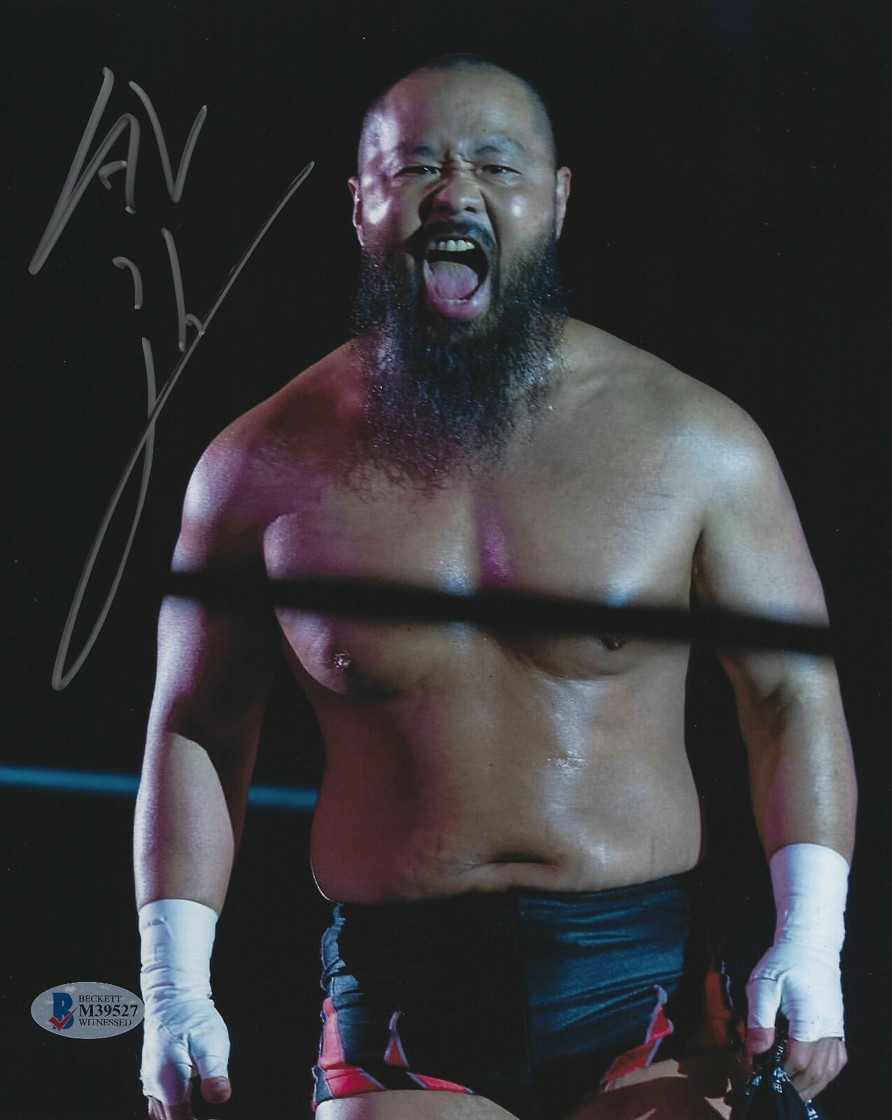 Gedo Wrestler Pro