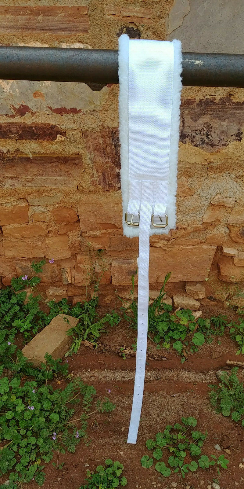 Jt Int Australian Outrider White Nylon/Fleece Aussie Cinch - 42" | eBay