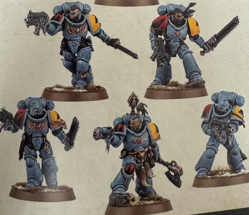 Warhammer 40k Space Wolves Grey Hunters 2025 Release (5) NOS | eBay