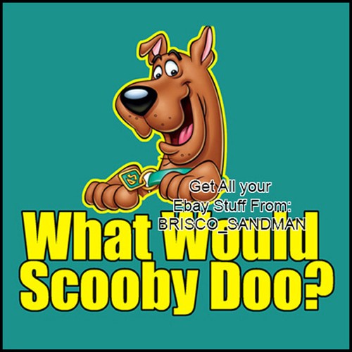 Fridge Fun Refrigerator Magnet SCOOBY DOO - WWSD? Version A | eBay