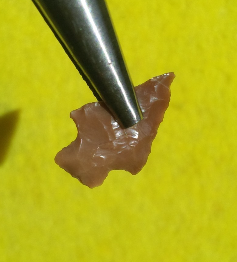 11/16" SCALLORN WESTERN TENNESSEE ARROWHEAD Authentic Projectile Point ...