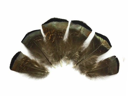5 Pieces - Small Wild Bronze Turkey Flats Feathers, Fly Tying, Smudging ...