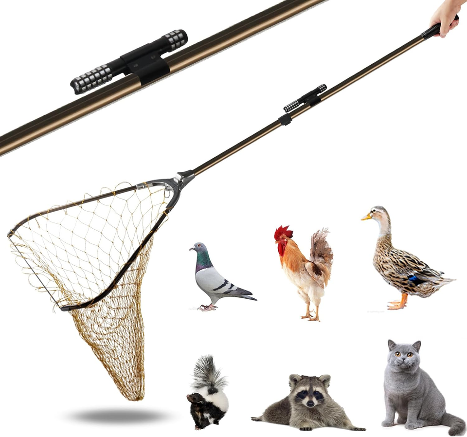 Animal Catch Pole Control Tool Net, Poultry Catching Pole Kit, Cat ...
