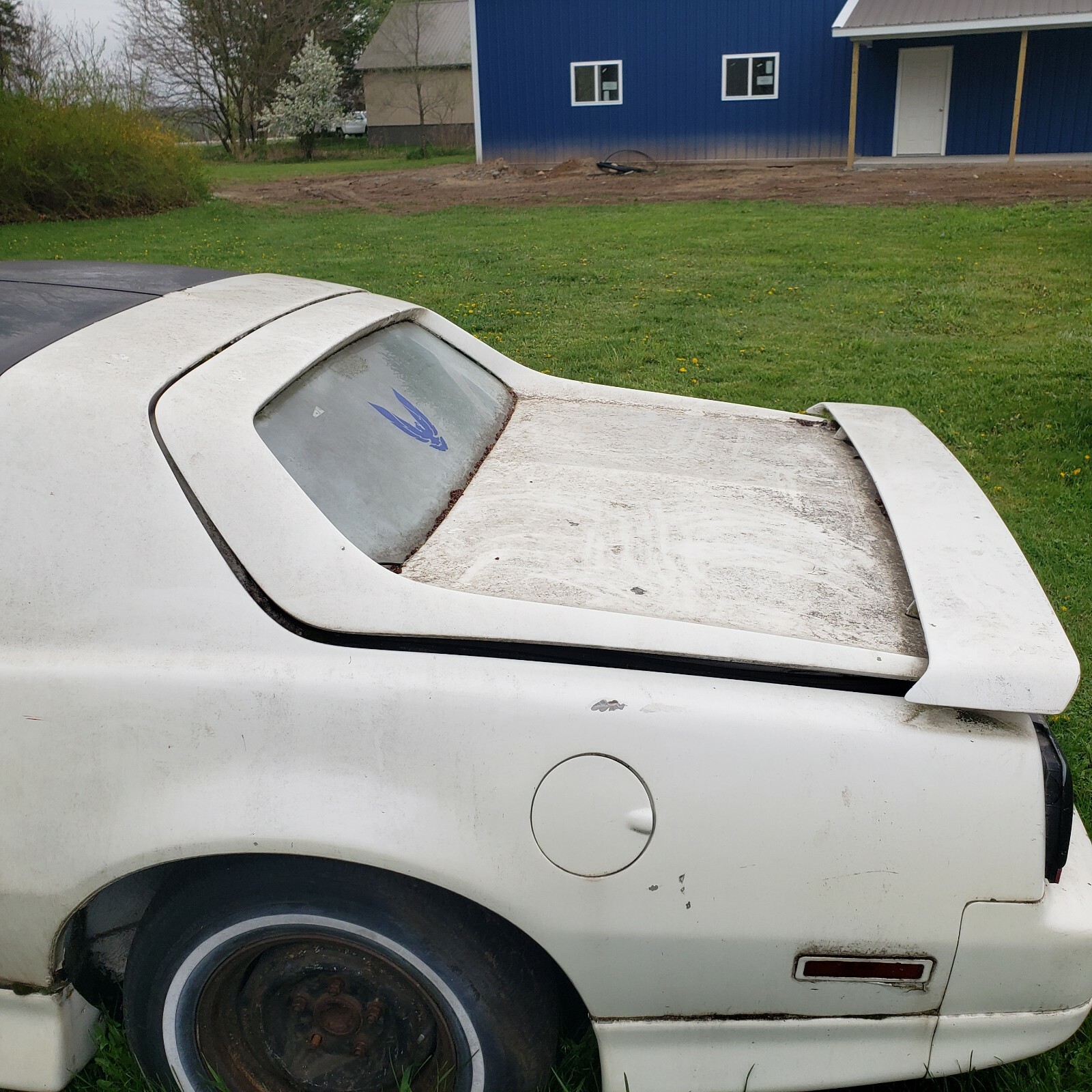 82-92 trans am gta firebird notchback hatch camaro z28 iroc z RARE RARE ...