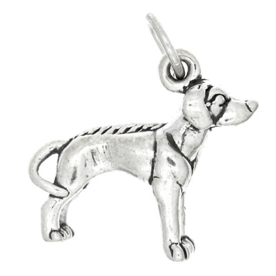 Sterling Silver Three Dimensional Rhodesian Ridgeback Dog Charm or ...