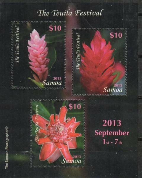 Samoa Teuila Flower | Best Flower Site