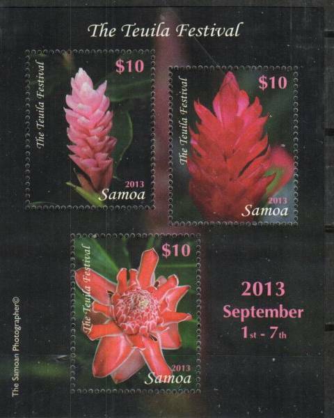 Samoan National Flower Teuila | Best Flower Site