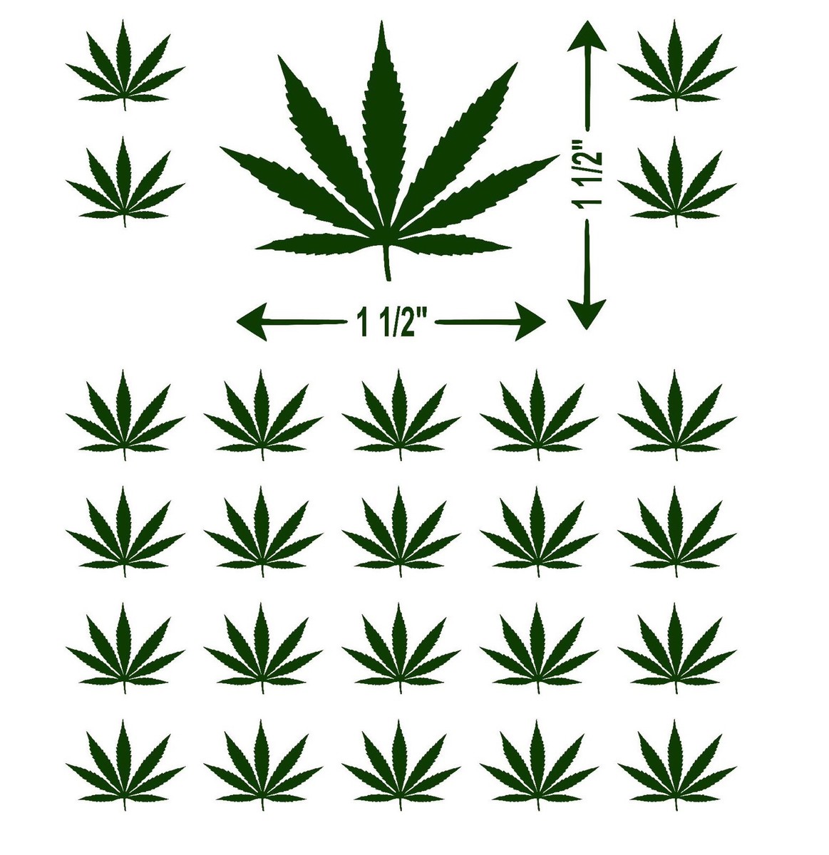 Dank Kush Dank Commander [Rare Dankness] | € 75,00 | Cannabis