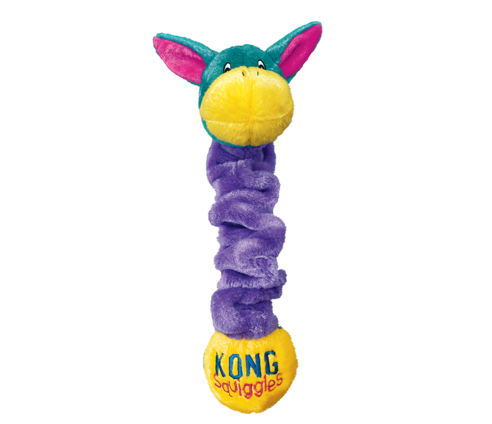 KONG Squiggles dog/puppy squeaky toy | eBay UK