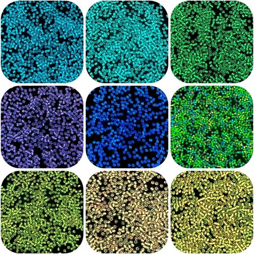 660X Luminous Beads Grow in The Dark Bead UV Reactive Glowing Bead for ...