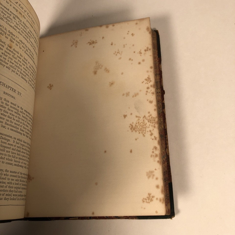 Charles Dickens - A Tale Of Two Cities 1st Edition Early Printing ...