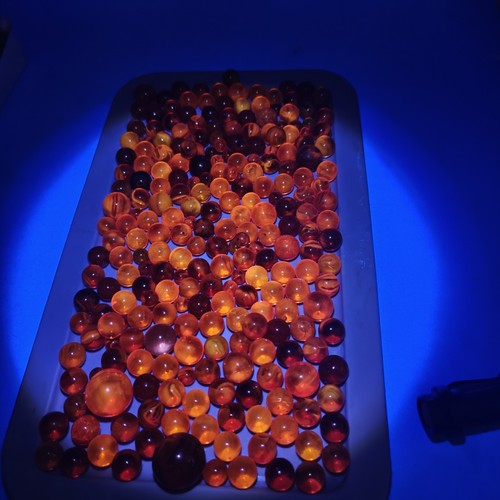 Huge Lot Marble Uv Cadmium Ruby Ghost Red Orange Peewee Shooter + | eBay