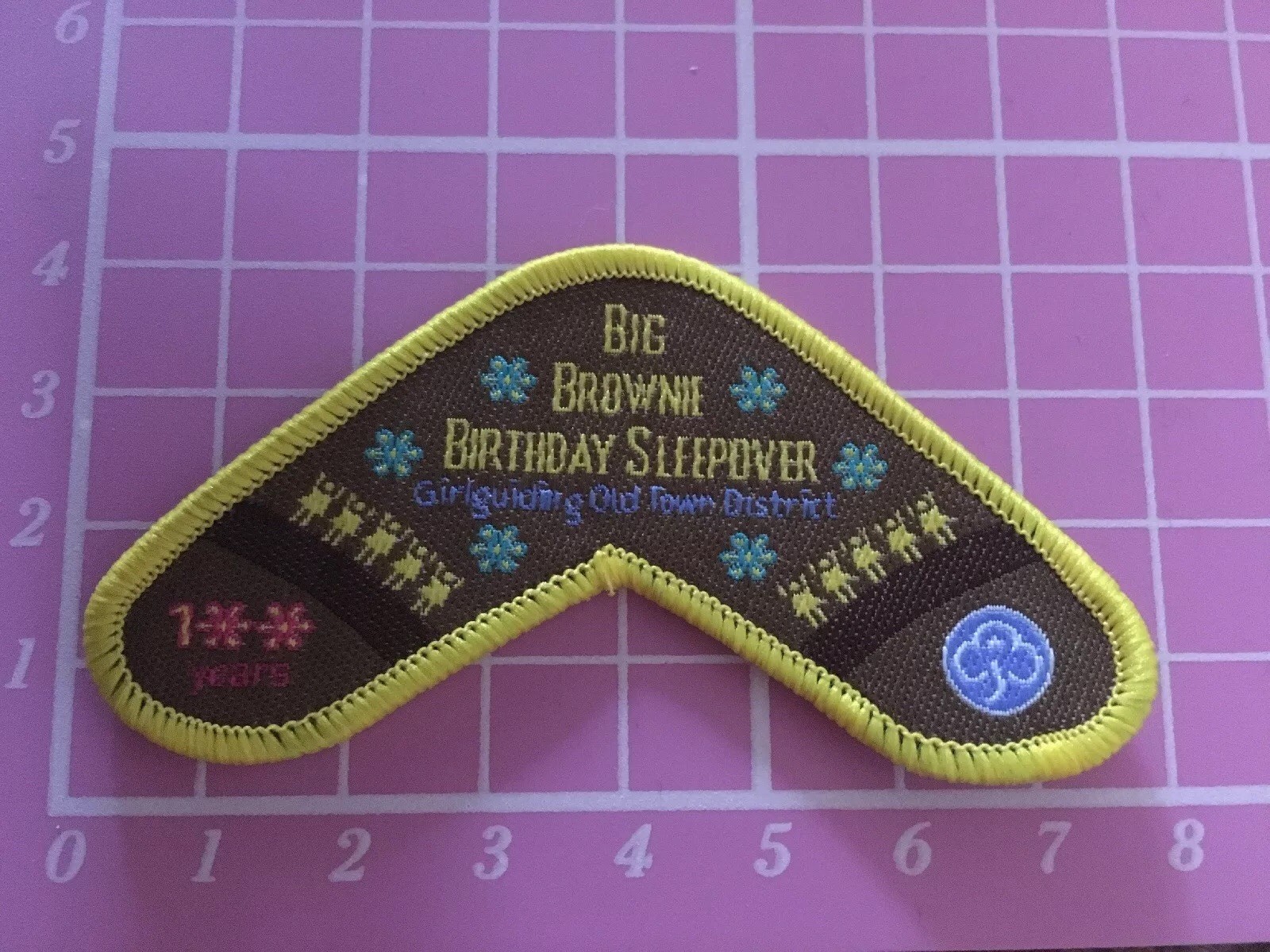 Big Brownie Birthday Sleepover Badge Patch Girlguiding Sew On Camp ...