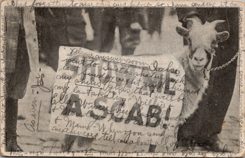 Postcard Show Me A Scab; 1910 Labor Union Postcard Cb | eBay