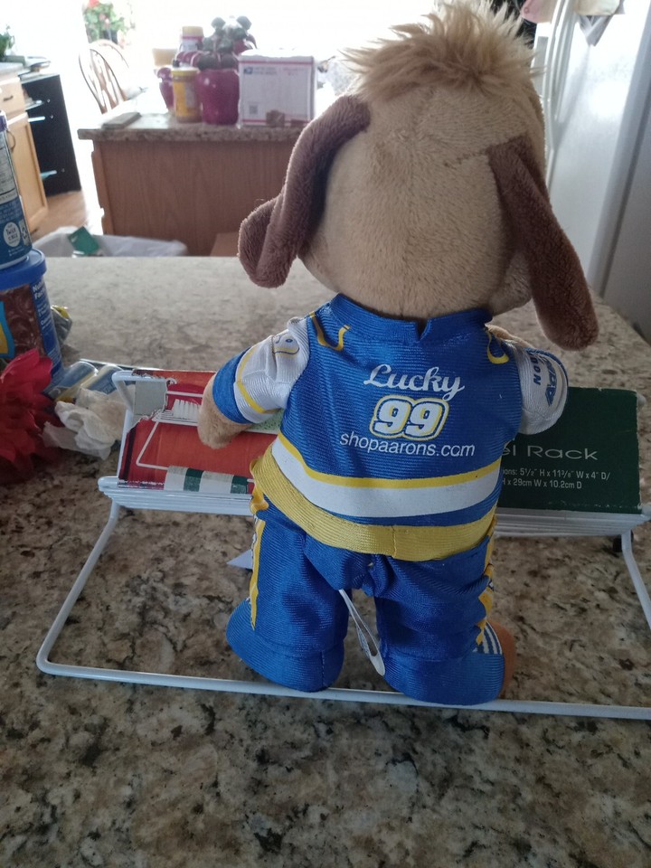 Aaron's 10" Lucky Dog Stuffed Plush Mascot NASCAR | eBay