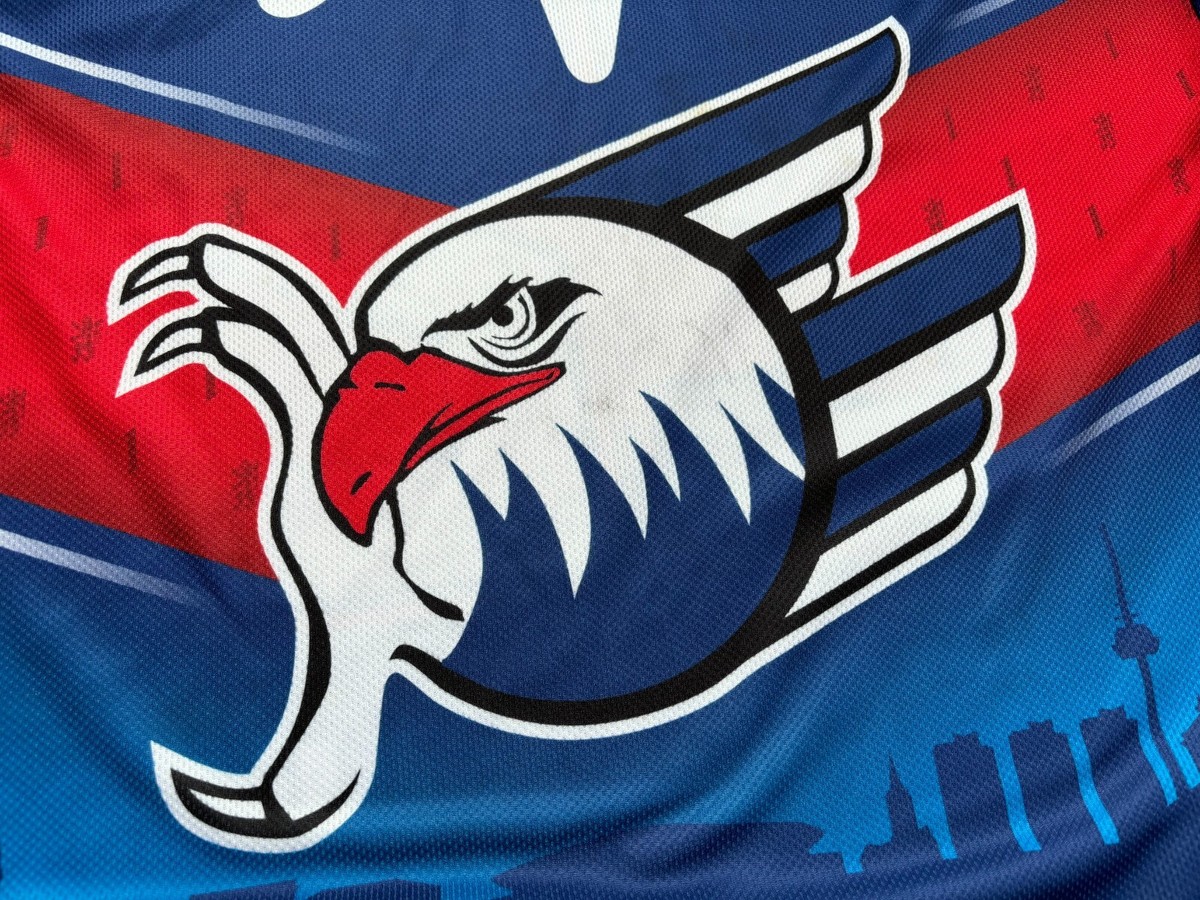 Adler Manheim Logo Highlights Von Adler Mannheim Eisbären Berlin