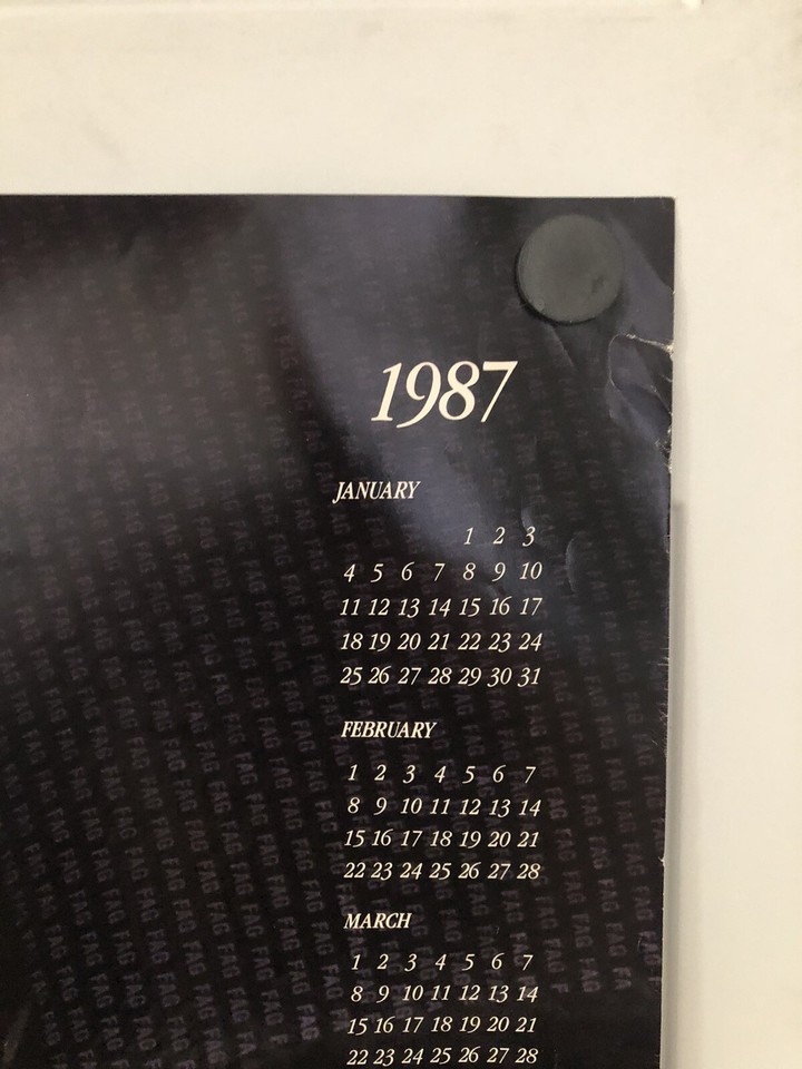 Pinup Girl Poster 1980s Fag Auto Parts Calendar Girl Sexy White ...