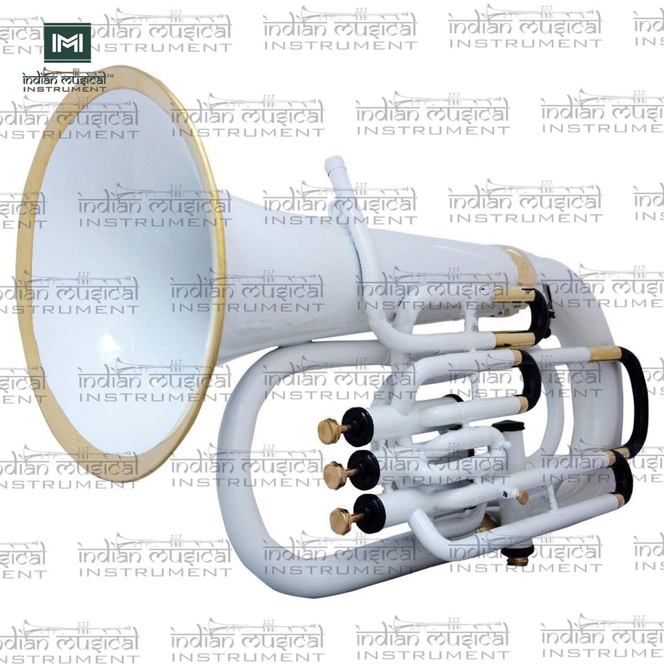 Brass Euphonium 4 Valve Bb Pitch With Carry Case & Mouthpiece Musical ...