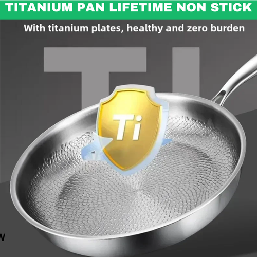 Titanium Frying Pan Life Time Non Stick Uncoated Fish Scale Surface lid ...