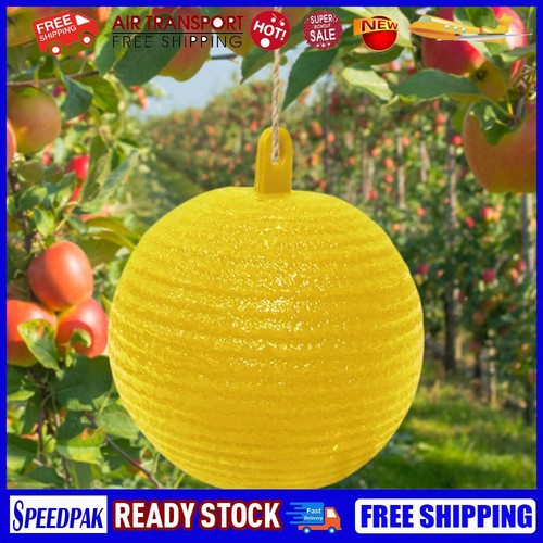 Ball Fruit Fly Catcher 8cm Sticky Trap for Catching Fruit Insects ...