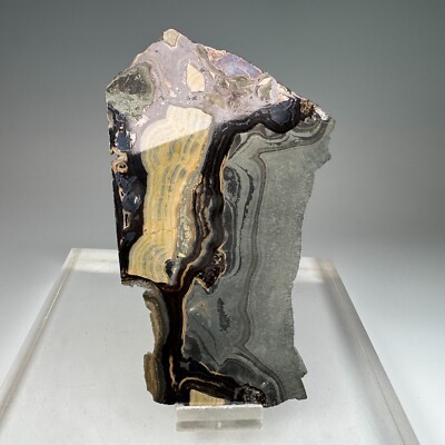 Large Polished Sphalerite, Galena, Marcasite Ore Sample: Pomorzany Mine ...