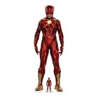 The Flash Ezra Miller Official Lifesize Cardboard Cutout with Free Mini ...