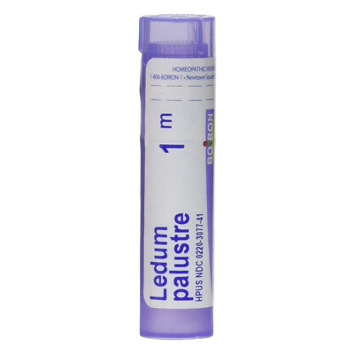 Boiron Ledum Palustre 1M, 80 Pellets | eBay