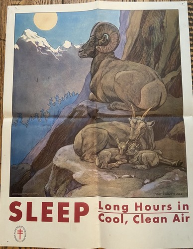 Vintage 1931 Michigan Tuberculosis Assn Poster, Charles Livingston Bull ...