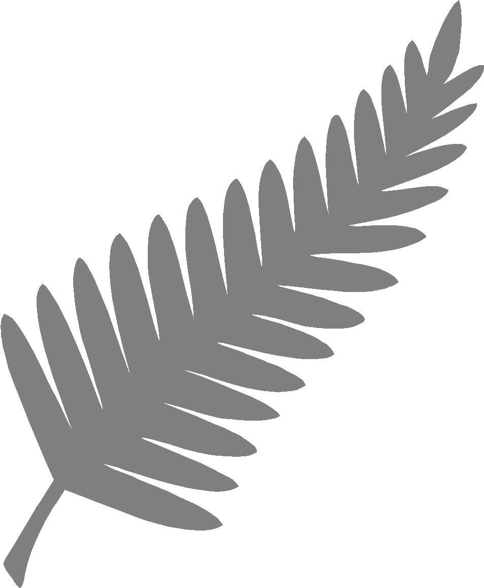 Nz Fern Logo