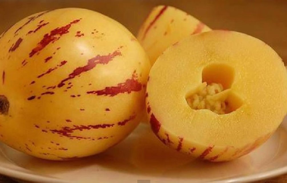 SOLANUM MURRICATUM PEPINO MELON PEAR SEEDS EXOTIC RARE HIERLOOM SPECIES ...