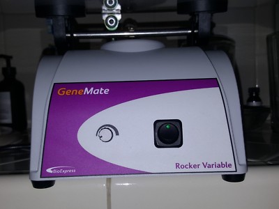 OEM Bioexpress genemate rocker variable model R-3200-1 | eBay