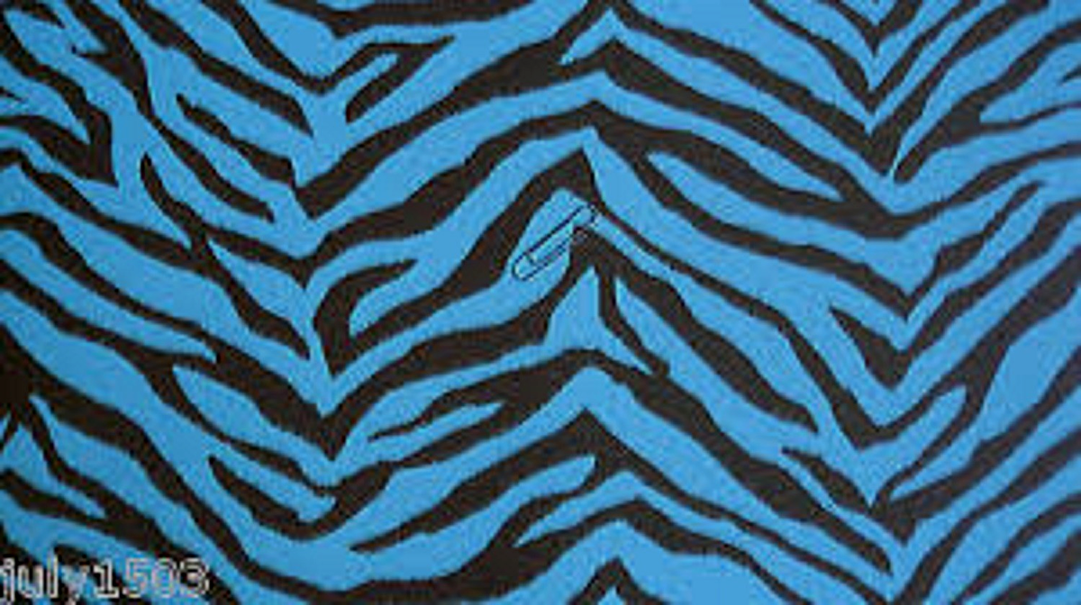 Blue Zebra Print Desktop Wallpaper BonEful Fabric FQ Cotton Quilt Blue