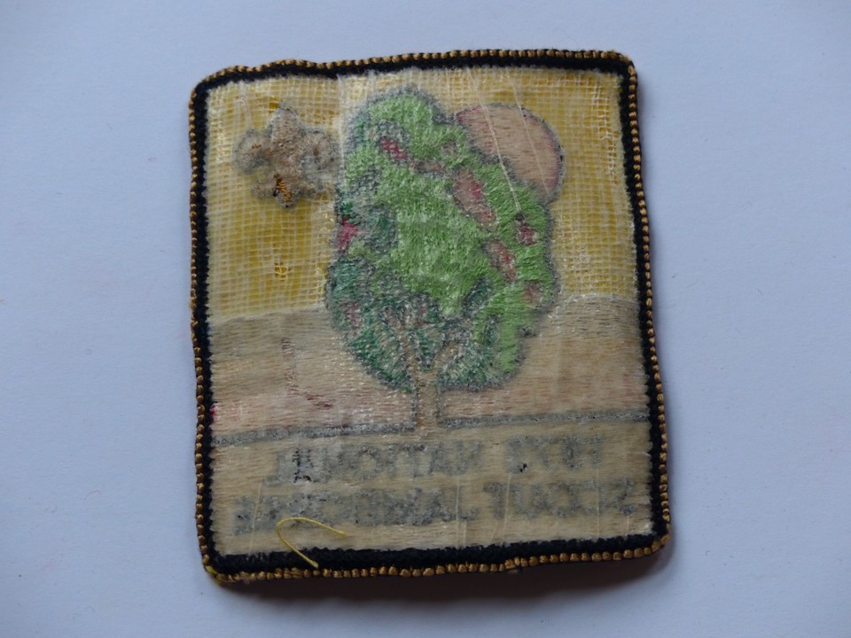 Heavily Used 1973 National Scout Jamboree Boy Scout BSA Participant ...