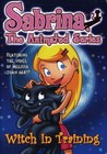 Sabrina the Animated Series-Witch in Training (DVD) 843501000014| eBay