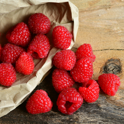 2 Heritage - Red Raspberry Canes - Everbearing - Organic Grown - Ready ...