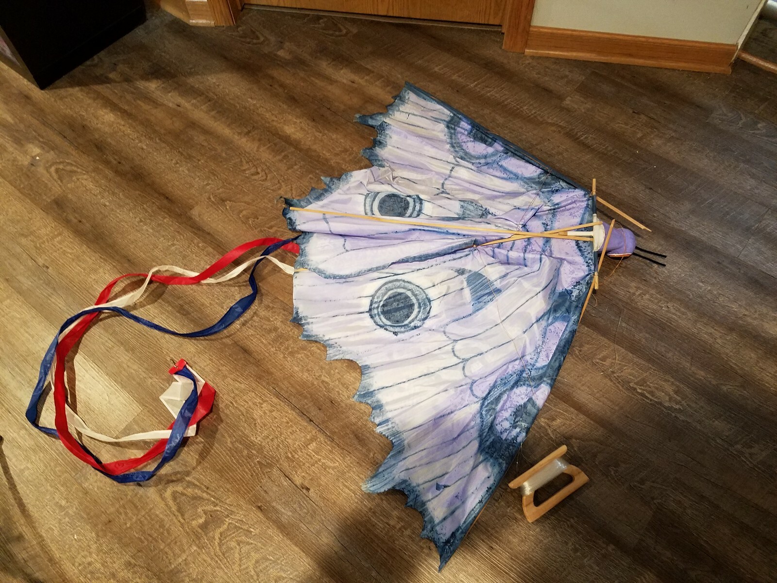 Huge Lot of 2 Dragonfly Kites Very Good Used Colorful Fun RARE Beach ...