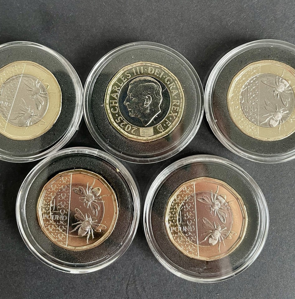 2025 King Charles Bee Coin One Pound £1 Coin Bees x 5 Capsuled From ...