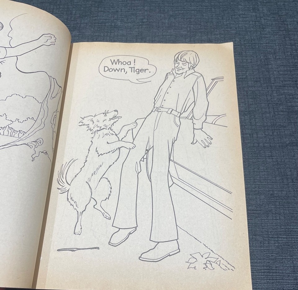 brady bunch coloring book 1657 | eBay