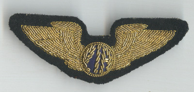 PIA PAKISTAN Internation Airlines Old PILOT Wings Patch Badge | eBay