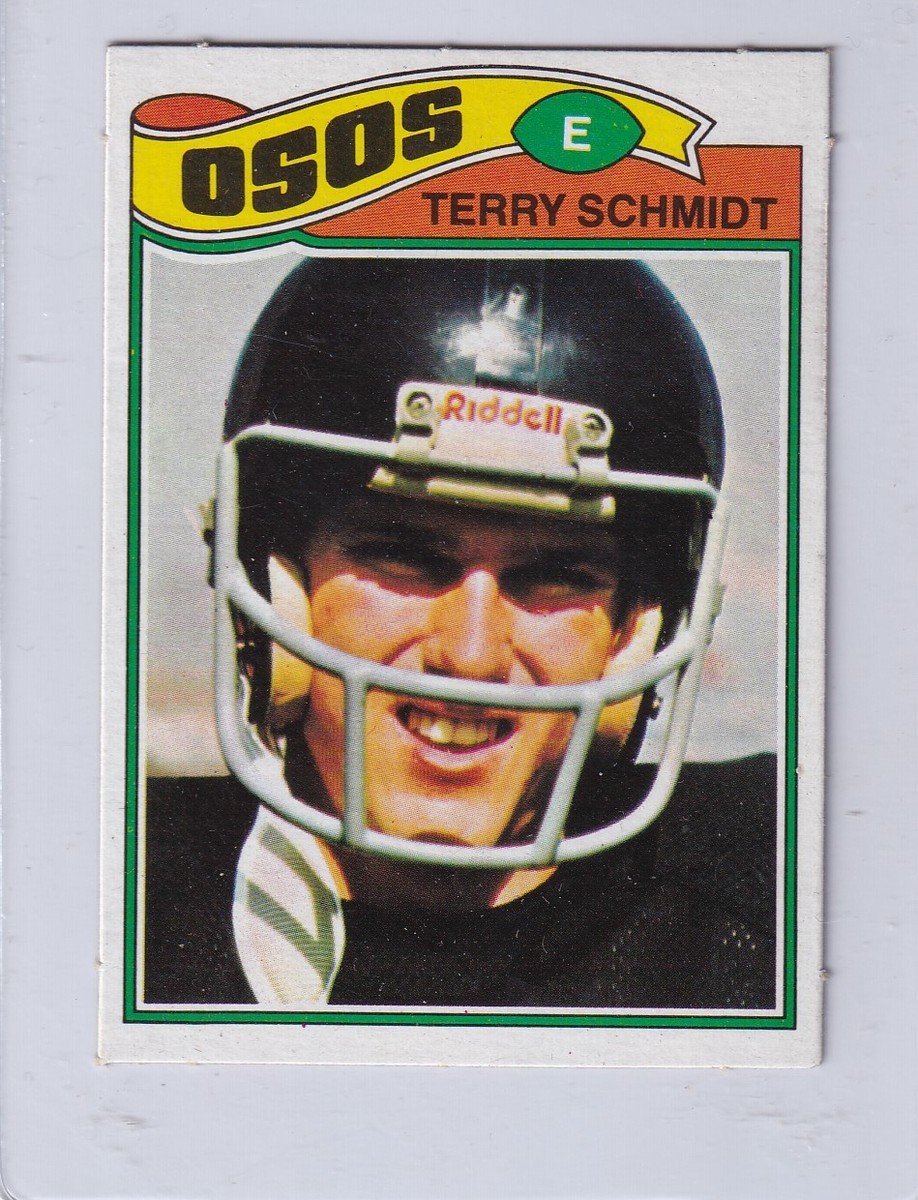 Terry Schmidt's Instagram, Twitter & Facebook on IDCrawl