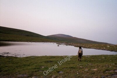 Photo 6x4 Lochan Buidhe, Cairngorm plateau Lochan Buidhe/NH9801 Late in ...
