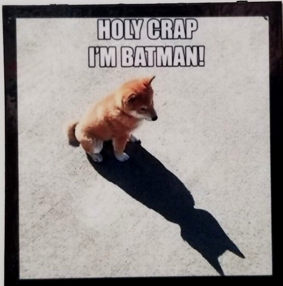 Holy Crap I'm Batman Dog Shadow Super Hero Awesome Powers Pet Lover ...