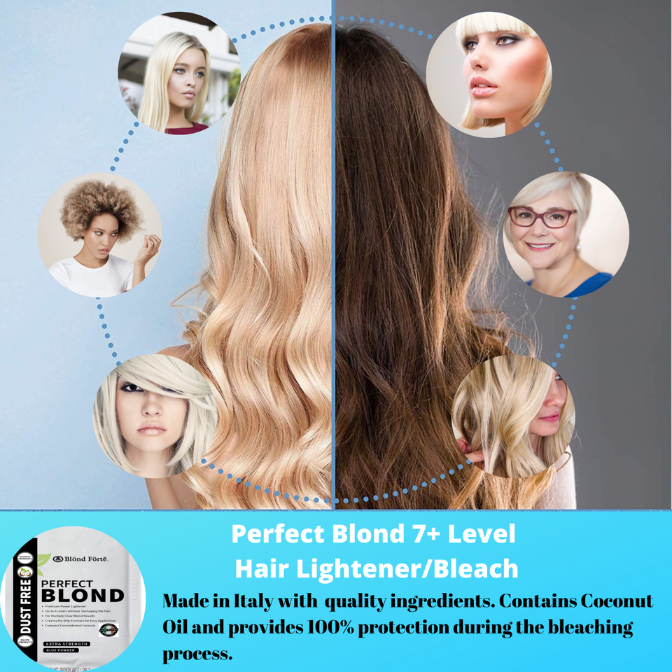 Professional Hair Bleach Lightener Kit for all Hair - 20/30/40 Volume ...